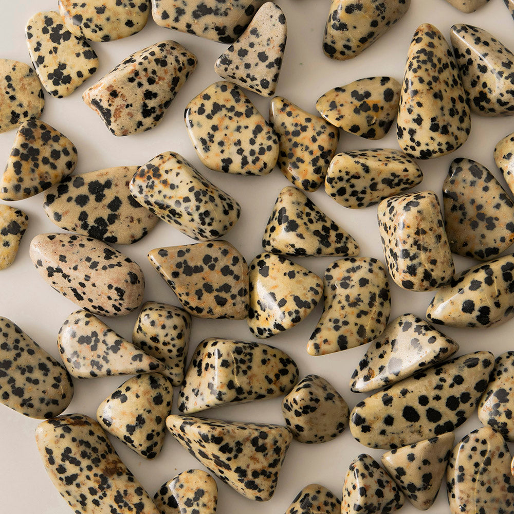 Dalmatian Jasper Tumble Stone – Karma Living