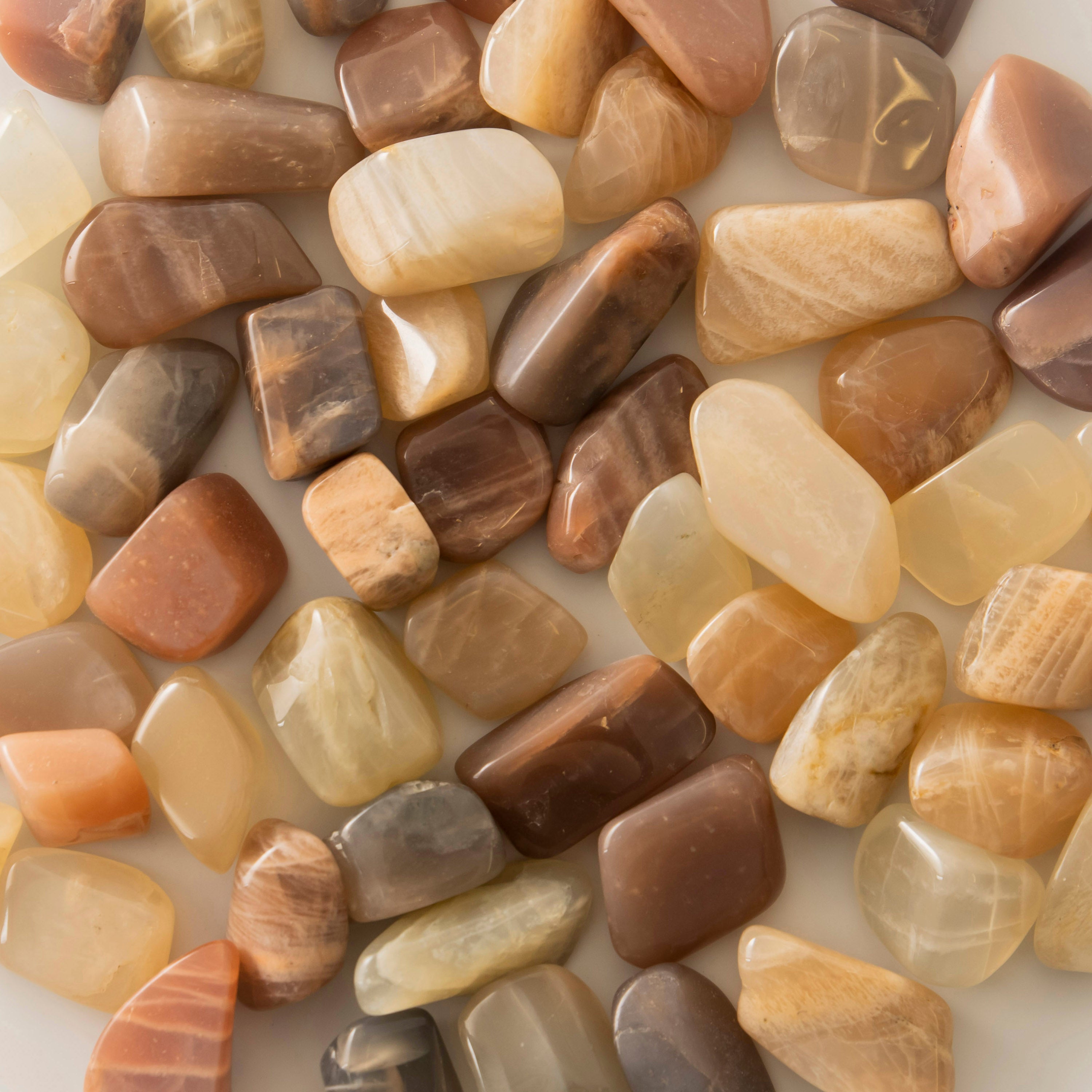 Shop Moonstone Crystal | Karma Living